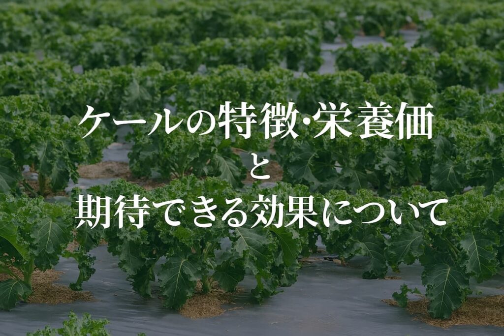日本有機農業協同組合 | Japan Organic Agriculture Cooperative(JOAC)