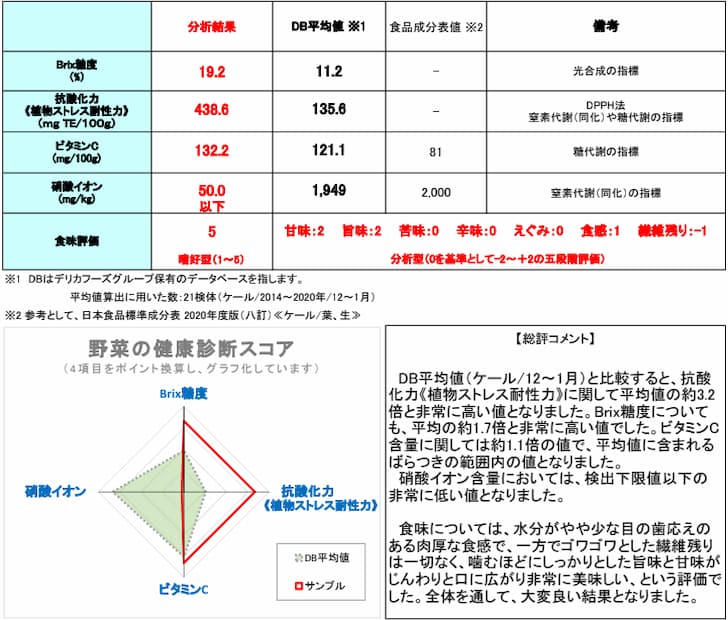 ケールの特徴・栄養価と期待できる効果について