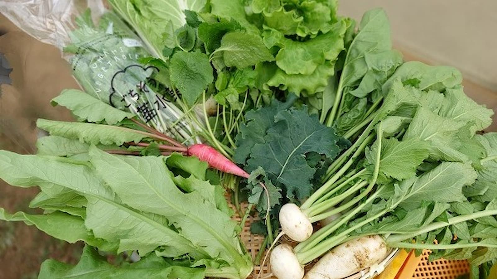 日本有機農業協同組合 | Japan Organic Agriculture Cooperative(JOAC)