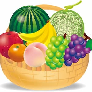 日本有機農業協同組合 | Japan Organic Agriculture Cooperative(JOAC)