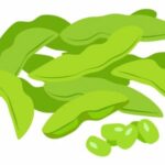 日本有機農業協同組合 | Japan Organic Agriculture Cooperative(JOAC)