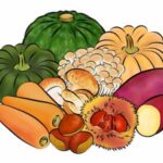 日本有機農業協同組合 | Japan Organic Agriculture Cooperative(JOAC)